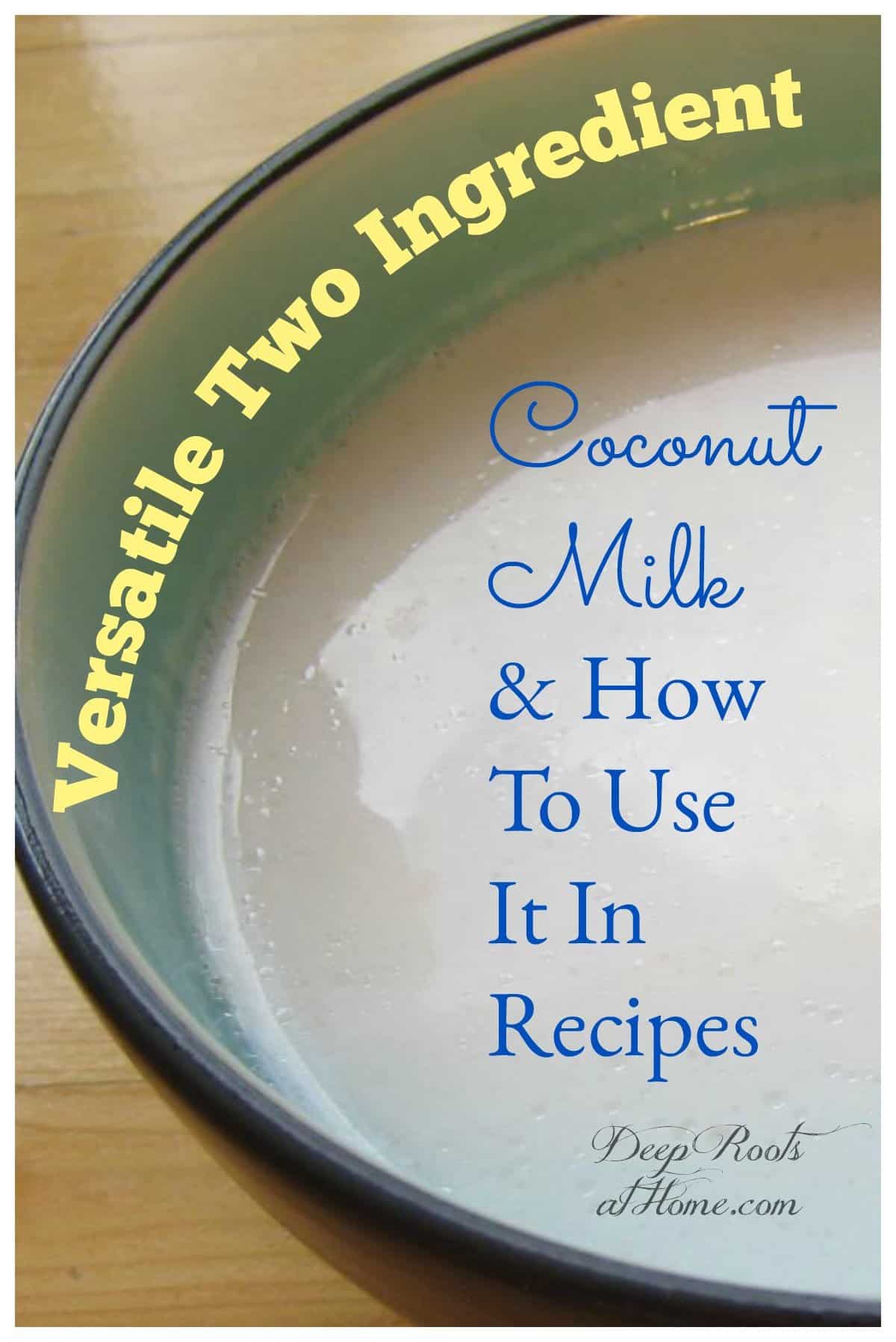 Versatile Two Ingredient Coconut Milk & Ways To Use It In Recipes