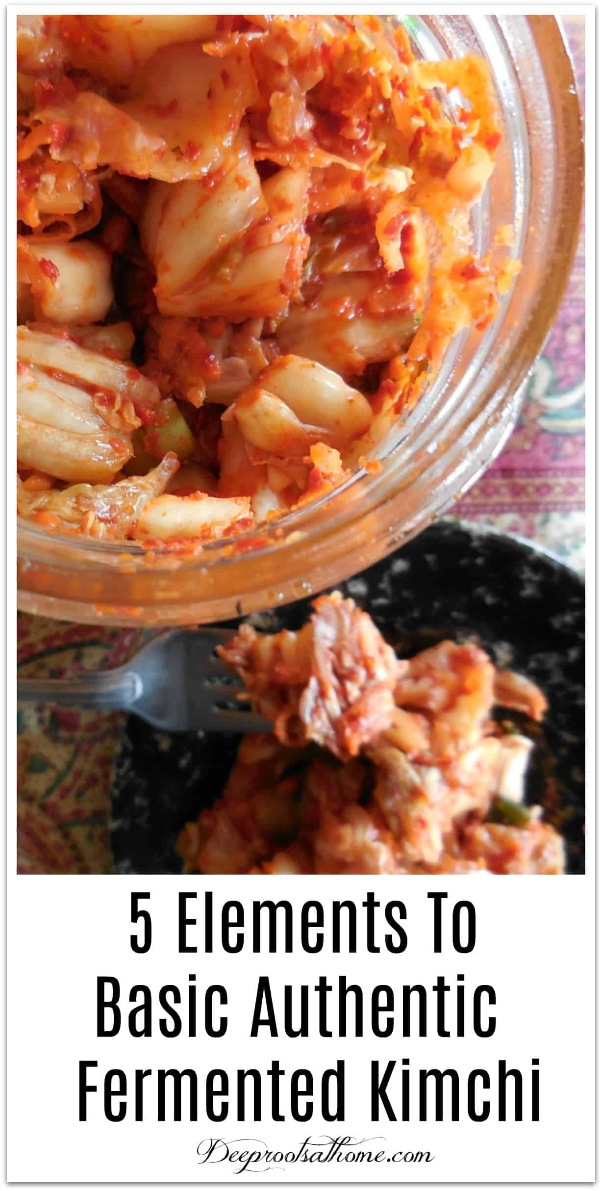 5 Elements To Making Authentic Basic Fermented Kimchi
