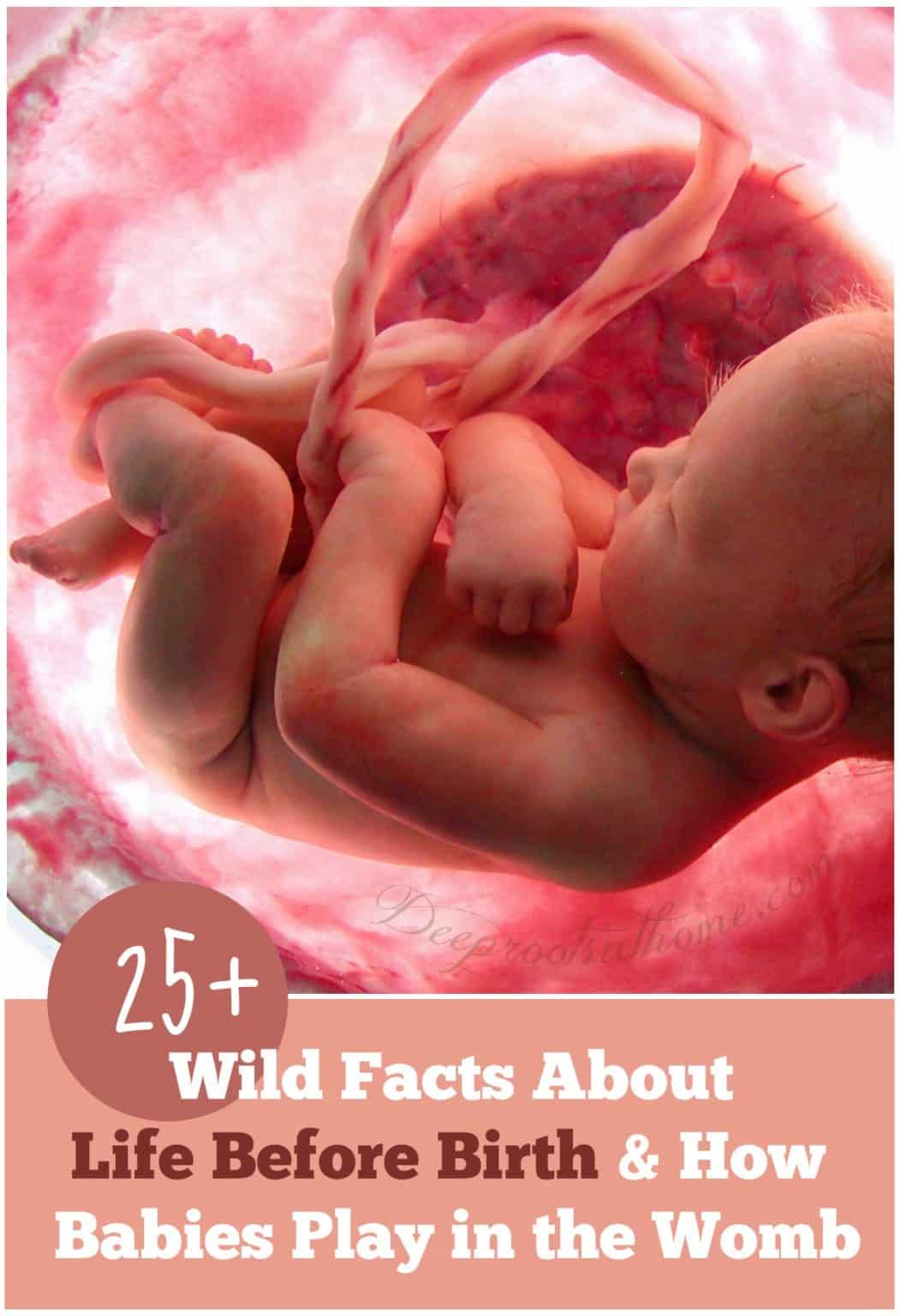 25+ Wild Facts About Life Before Birth & How Babies Play in the Womb