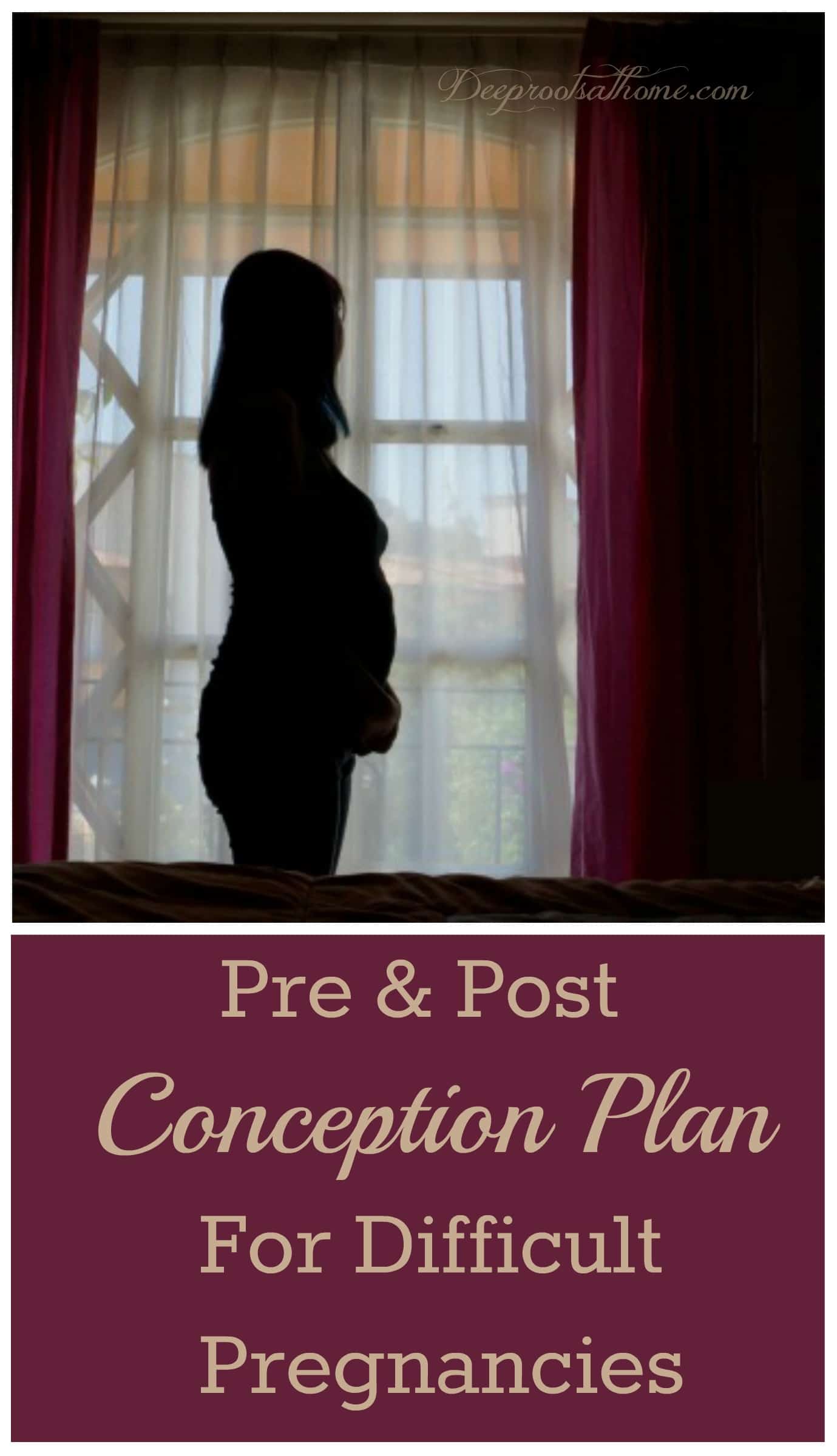Pre & Post-Conception Plan For Difficult Pregnancies