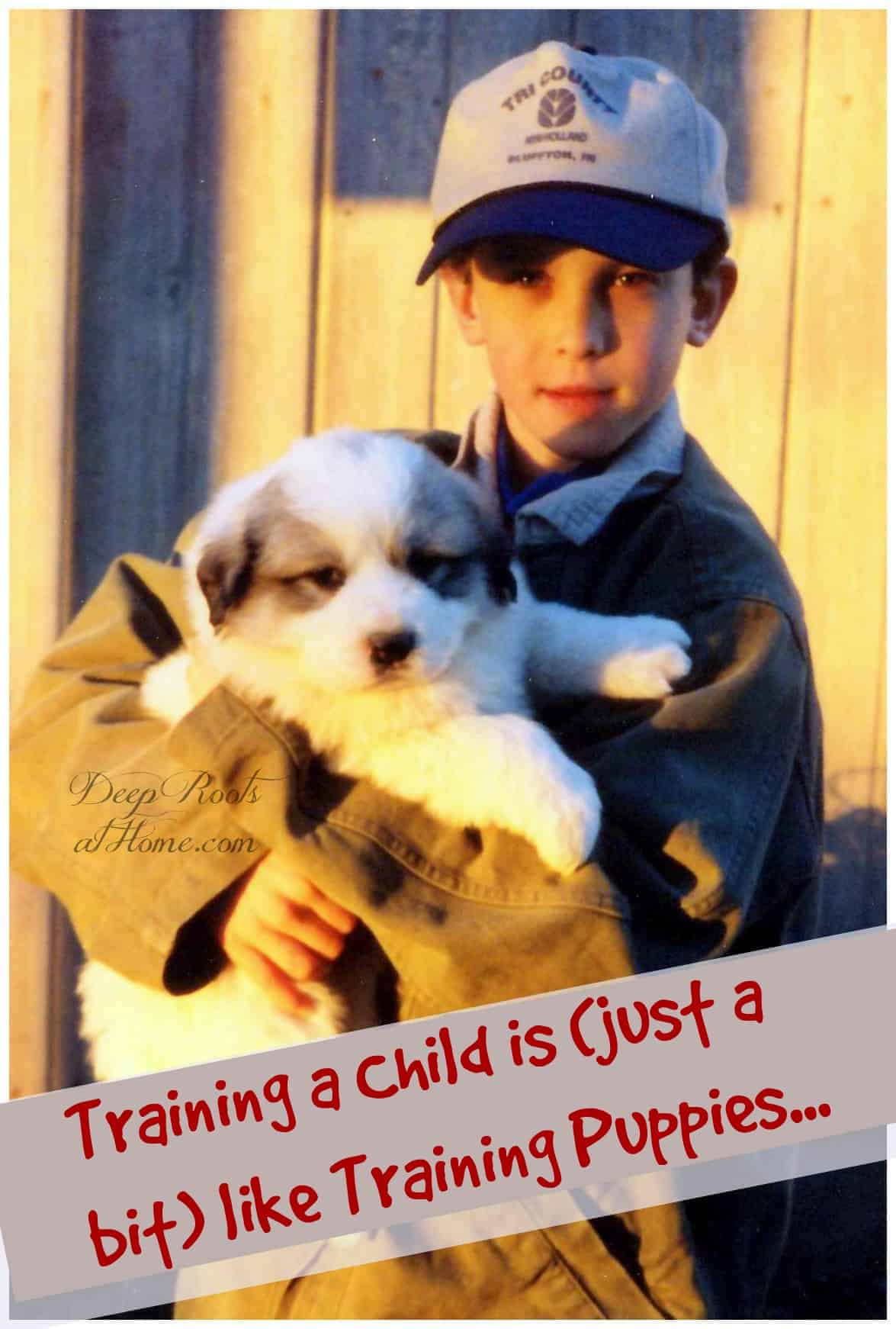 Training a Child is (just a bit) like Training Puppies...