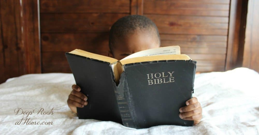 Scriptures on the Future of those who Oppose God vs. them that Trust God